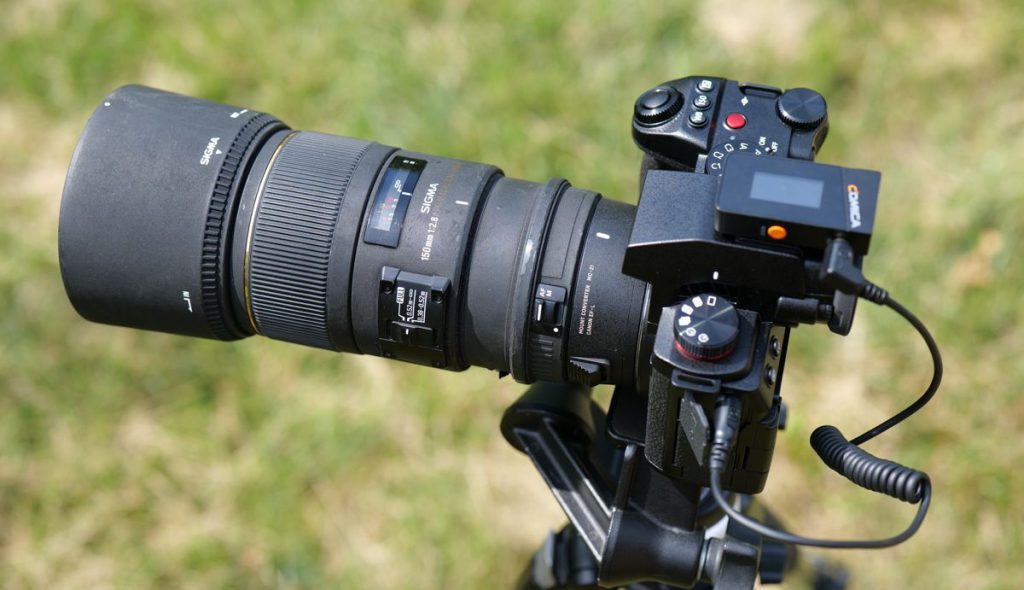 Обзор Panasonic S5 Mark II (с фазовым автофокусом) | Olegasphoto